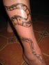 16 Best Python Tattoo Design Ideas - PetPress