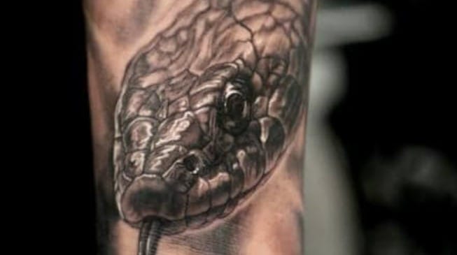 10+ Best Black Mamba Snake Tattoo Designs & Meanings - PetPress