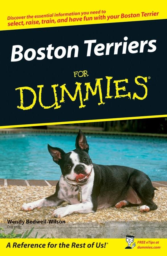 15 Books About Boston Terriers. Part 1. - PetPress