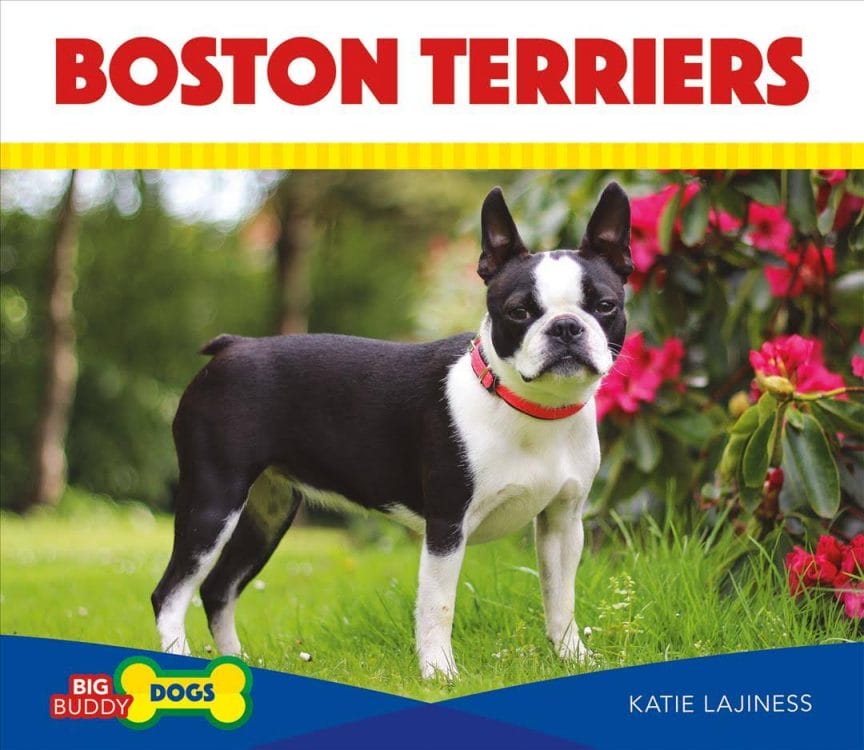 15 Books About The Boston Terriers. Part 2. - Page 2 of 3 - PetPress