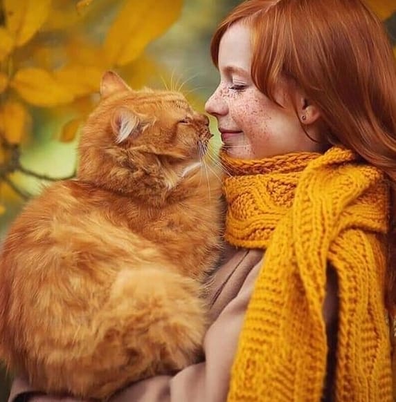 Top 50 Autumn Cat Names To Name Your New Feline Friend