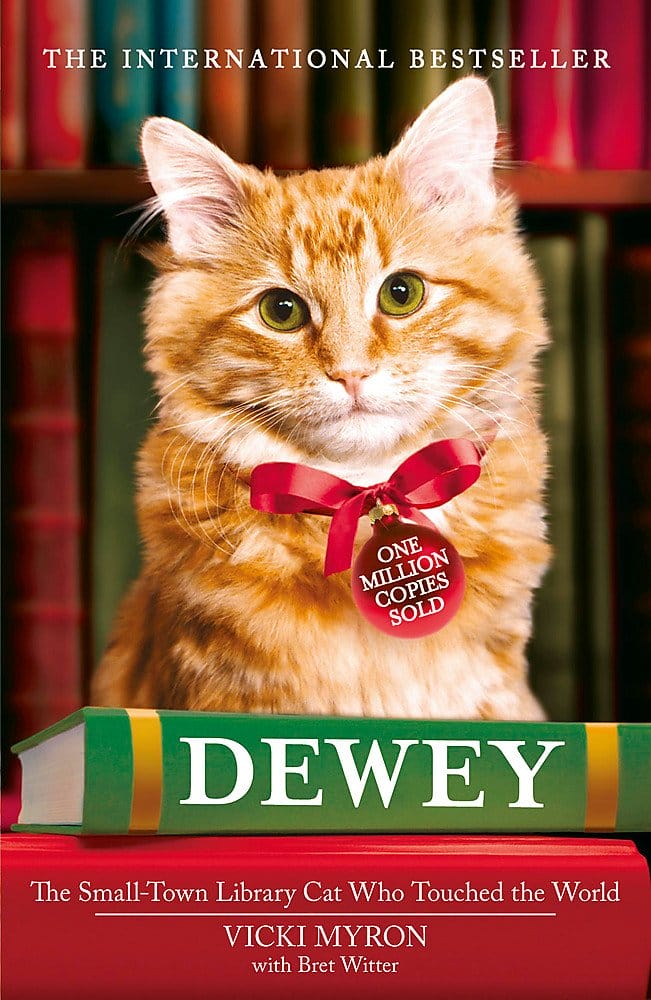 15 Fascinating Books About Cats - PetPress