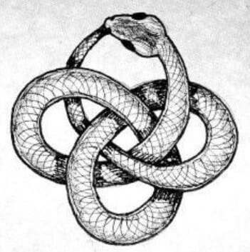 15 Celtic Snake Tattoo Designs - PetPress