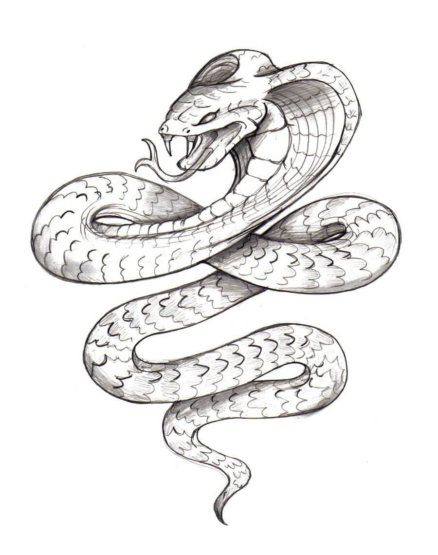 10+ Chinese Snake Tattoo Designs & Ideas - PetPress
