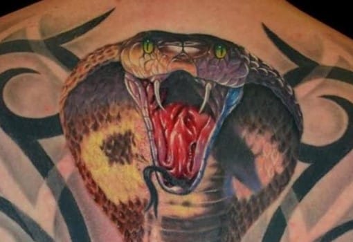 22 Best Snake Tattoo Designs For Back - PetPress