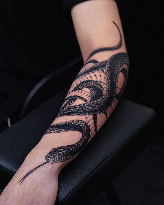 Top 15+ Coiled Snake Tattoo Ideas - PetPress