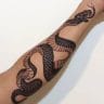 Top 15+ Coiled Snake Tattoo Ideas - PetPress