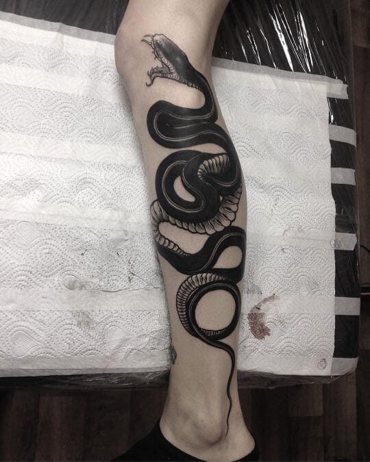 Top 15+ Coiled Snake Tattoo Ideas - PetPress