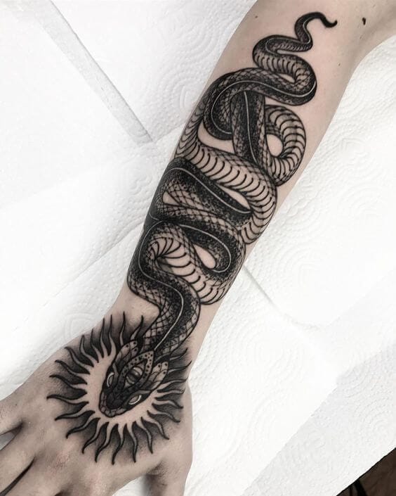 Top 15+ Coiled Snake Tattoo Ideas - PetPress