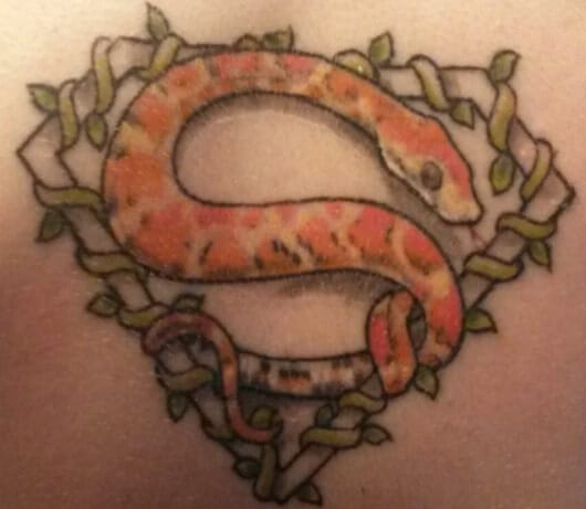 12+ Best Corn Snake Tattoo Designs - PetPress