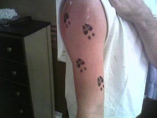 10+ Deer Track Tattoos Ideas - PetPress