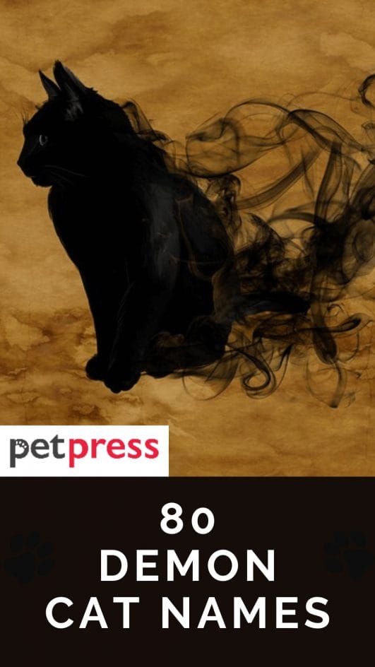 Top 80 Demon Cat Names - Evil Spiritual Names For Cats