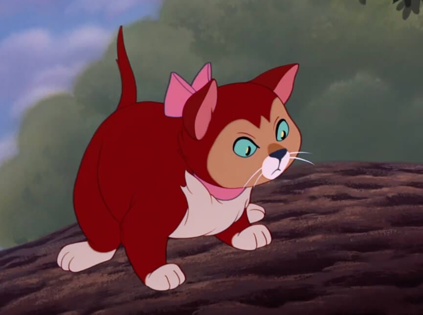 Disney Cat Names: 230+ Boy and Girl Disney Names for Cats