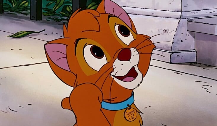 Disney Cat Names: 230+ Boy and Girl Disney Names for Cats