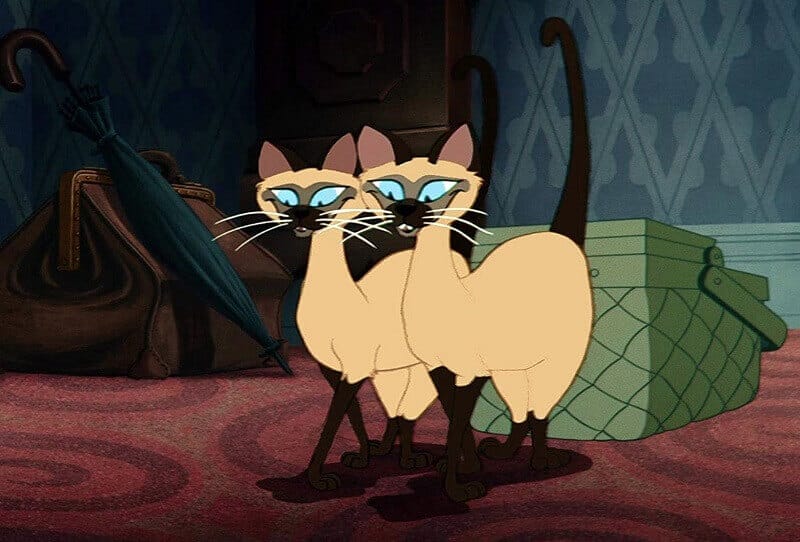 Disney Cat Names: 230+ Boy and Girl Disney Names for Cats