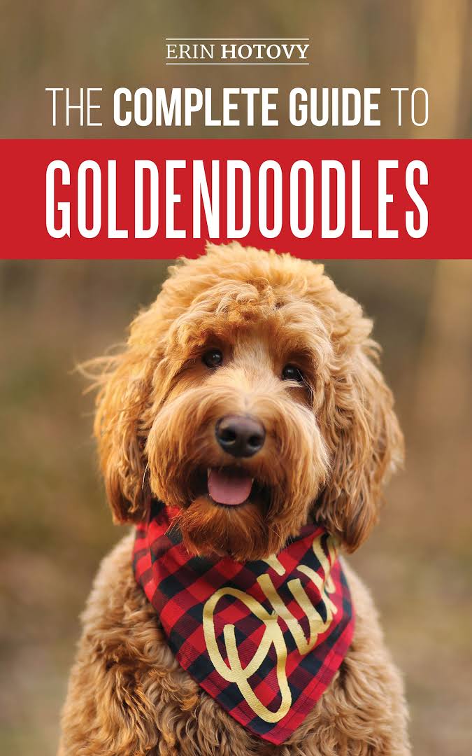 15 Must-Read Books For Goldendoodle Lovers - PetPress