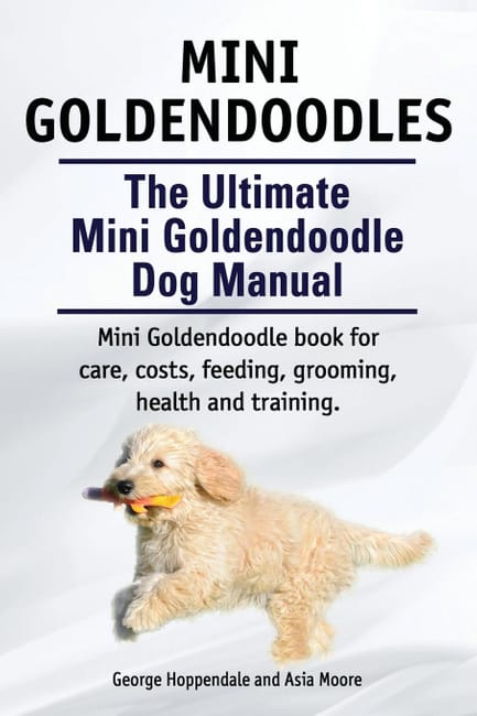 15 Must-Read Books For Goldendoodle Lovers - PetPress