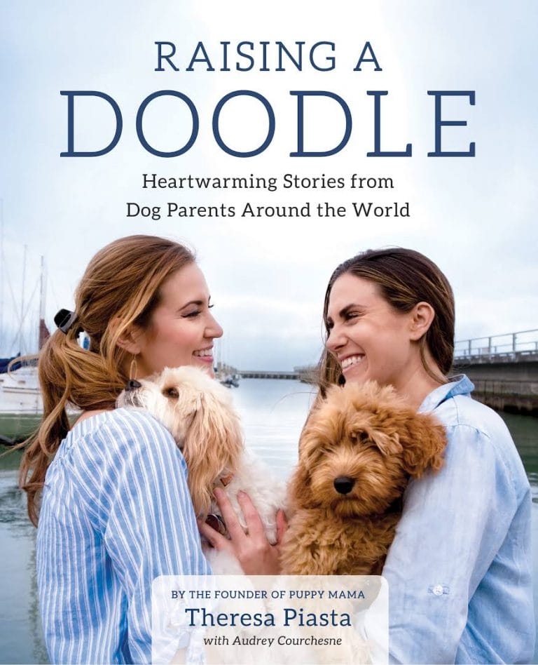 15 Must-Read Books For Goldendoodle Lovers - PetPress