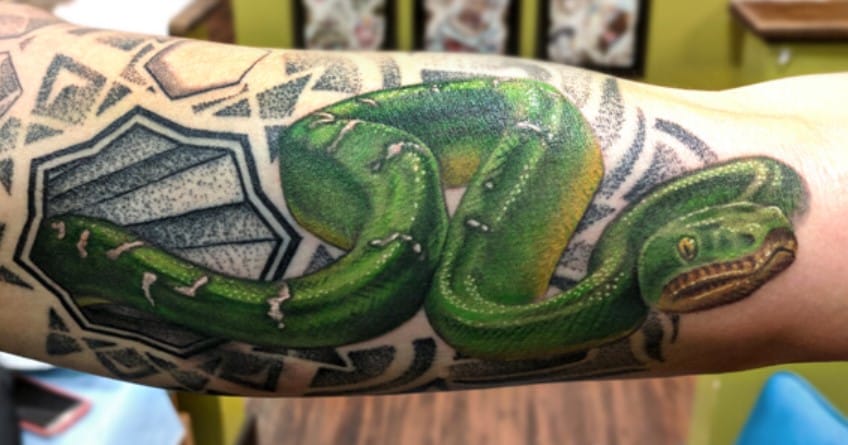 16 Best Python Tattoo Design Ideas - PetPress