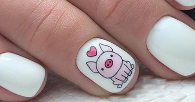 15 Stylish Pig Manicure Ideas - PetPress