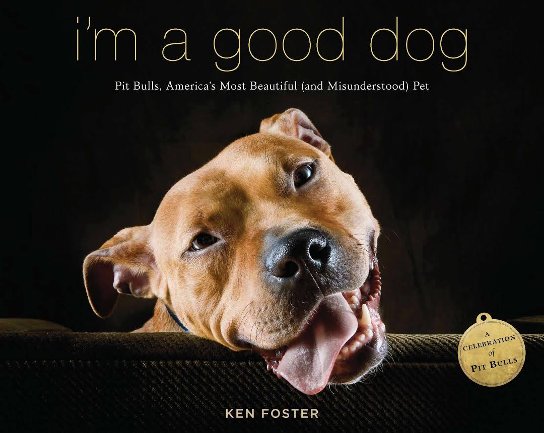 15 Books About Pit bulls - PetPress