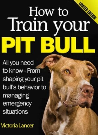 15 Books About Pit bulls - Page 3 of 3 - PetPress