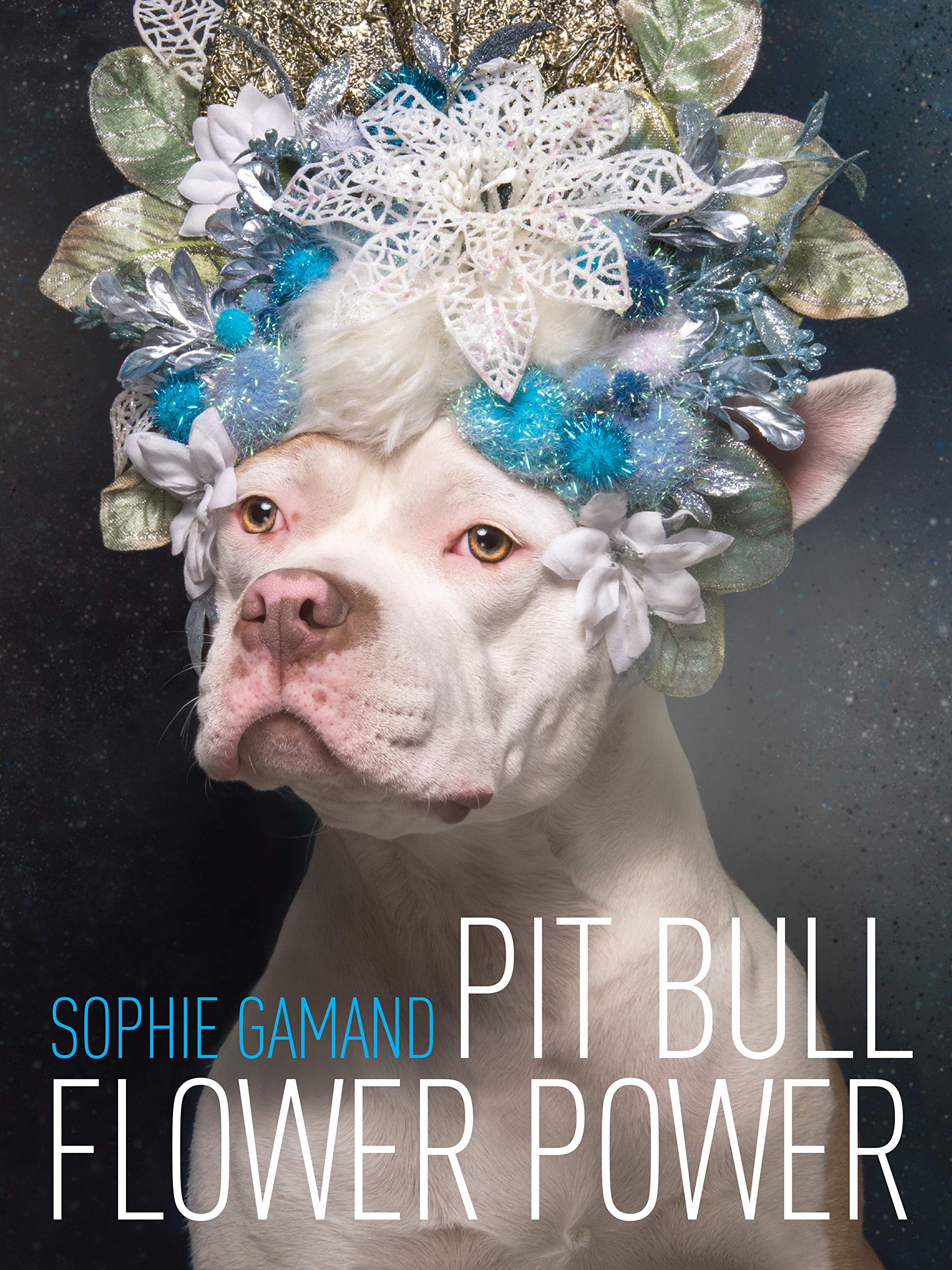 15 Books About Pit bulls - PetPress