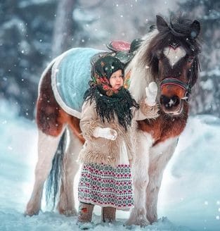 14 Interesting Facts About Ponies - PetPress