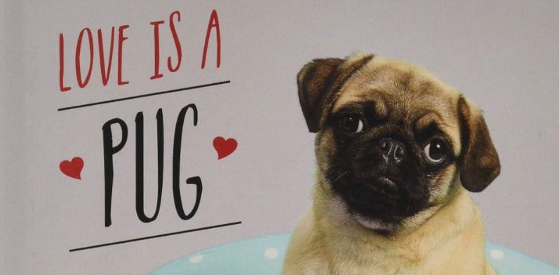 15 Вooks About Pugs (Part 2) - PetPress