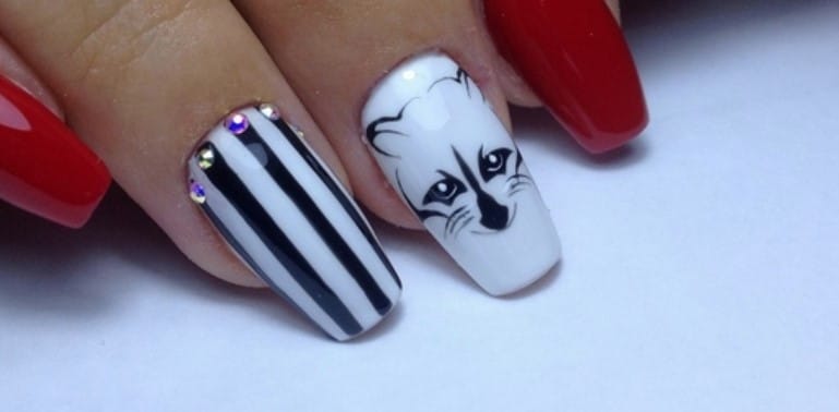 16 Trendy Raccoon Nail Arts - PetPress