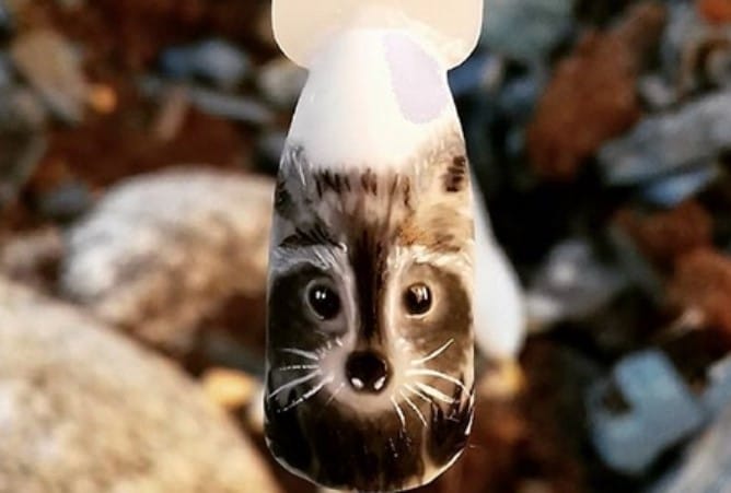 14 Awesome Raccoon Manicure Designs 2020 - PetPress