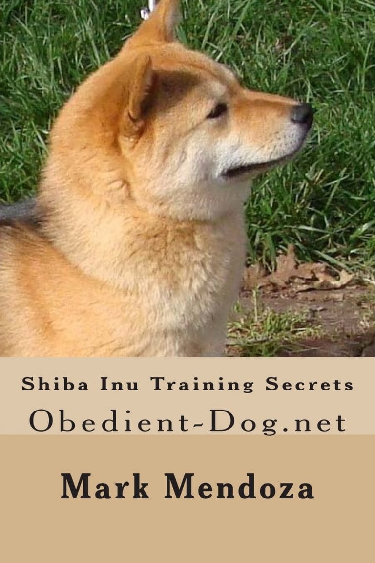 15 Books About Shiba Inu - PetPress