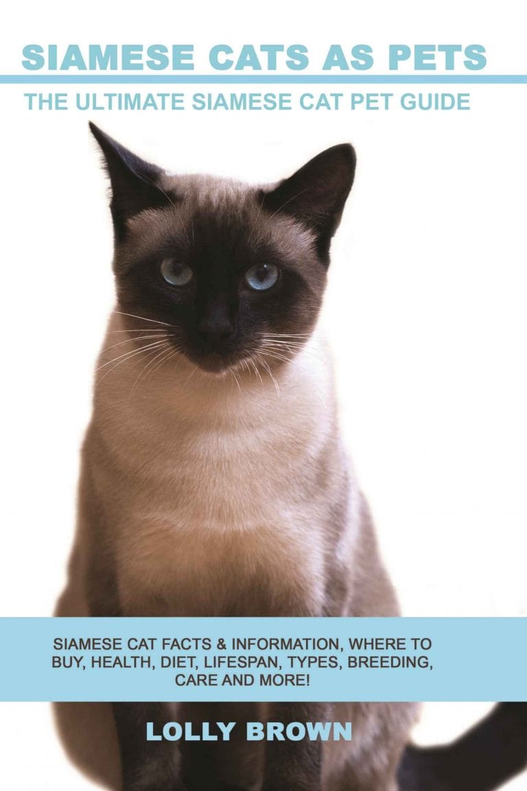 15 Books About Siamese Cats - PetPress