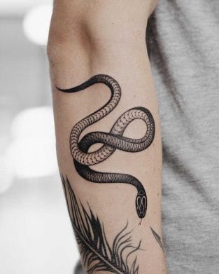 25+ Amazing Small Snake Tattoo Ideas & Designs - PetPress