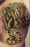 15+ Best Snake Half Sleeve Tattoo Designs - PetPress