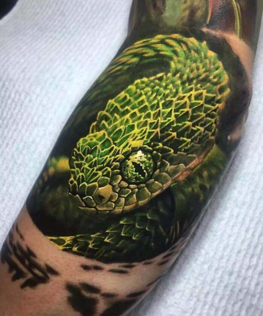 16 Snake Skin Tattoo Designs & Ideas - PetPress