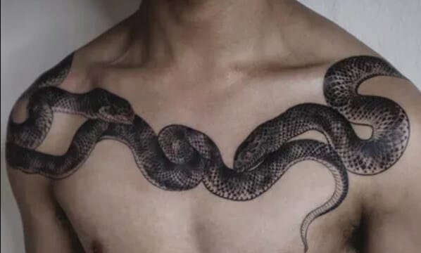 22 Snake Tattoos For Chest And Meanings - PetPress
