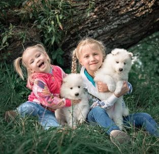 Top 15 Dog Breeds With The Most Beautiful Puppies - Page 2 of 3 - PetPress