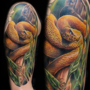 14+ Viperid Snake Tattoo Designs and Ideas - PetPress