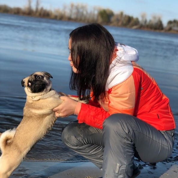 14 Pros And Cons Of Owning Pugs - Page 2 of 3 - PetPress