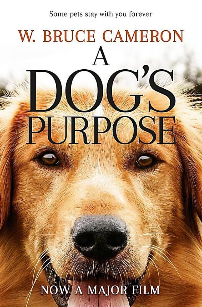 15 Best Books For Dog Lovers To Know Better About Your Dog