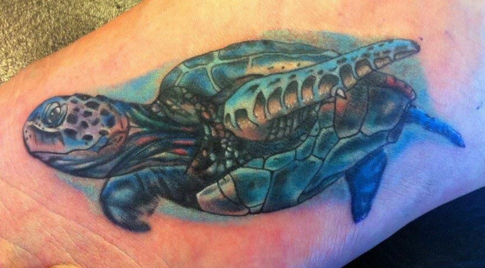 21+ 3D Turtle Tattoos You Won't Believe - PetPress