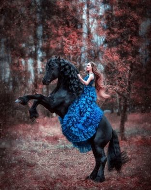 Top 15 Most Beautiful Horse Breeds - PetPress