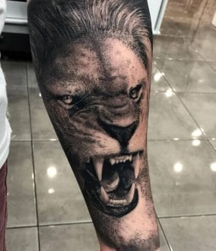14+ Angry Lion Tattoo Designs & Ideas - PetPress
