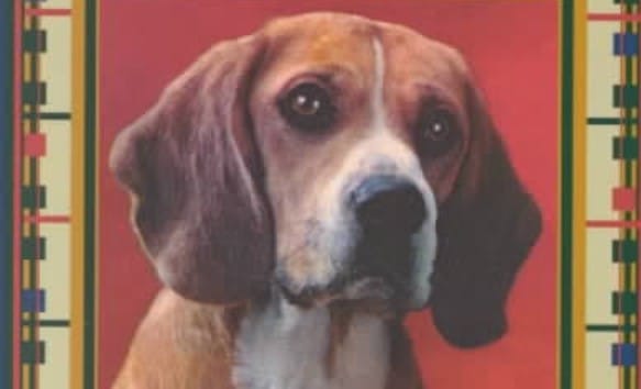 15 Books About Beagles (Part 2) - PetPress