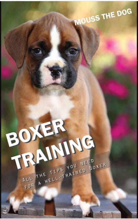 15 Books About Boxer Dogs - PetPress