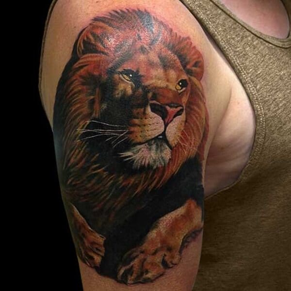 12+ Best Colorful Lion Tattoo Designs - PetPress