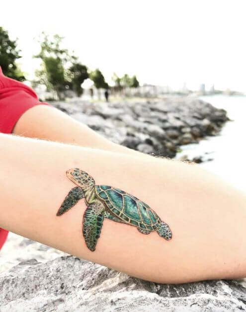 15+ Colorful Turtle Tattoo Designs - Page 2 of 3 - PetPress