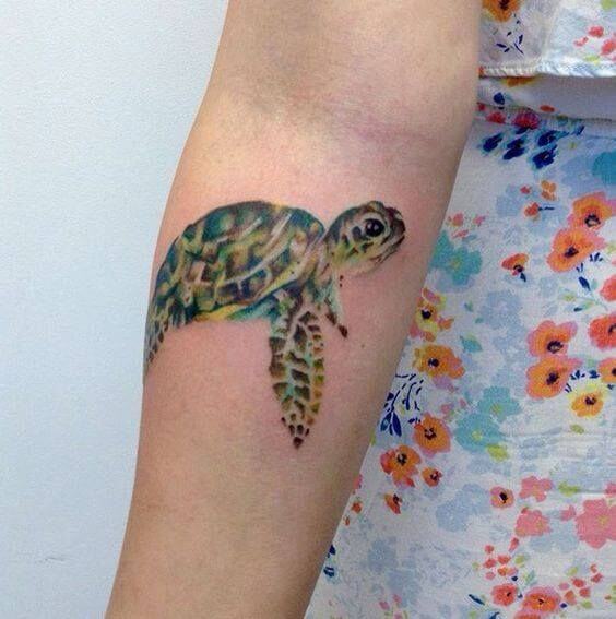 15+ Colorful Turtle Tattoo Designs - Page 2 of 3 - PetPress