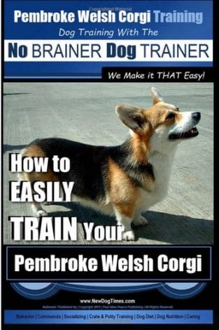 15 Books About Corgis - PetPress